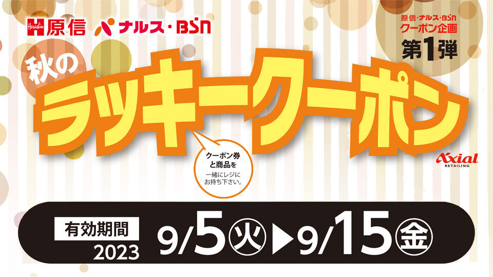 BSN新潟放送｜PICK UP